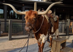 Guys Weekend Ideas and Destinations