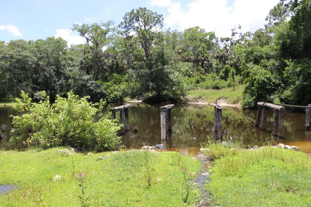 Natural Florida Up Close on a Babcock Ranch Eco Tour